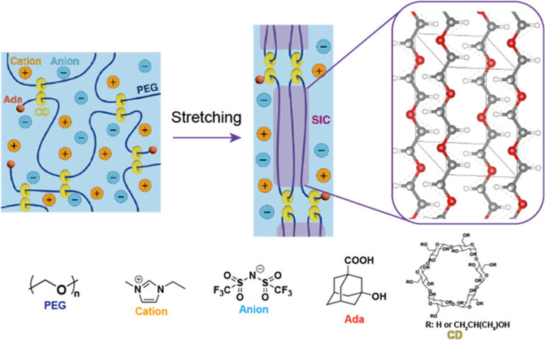 Takato Enoki, Kei Hashimoto, Tatsuro Oda, Kohzo Ito, and Koichi Mayumi ...